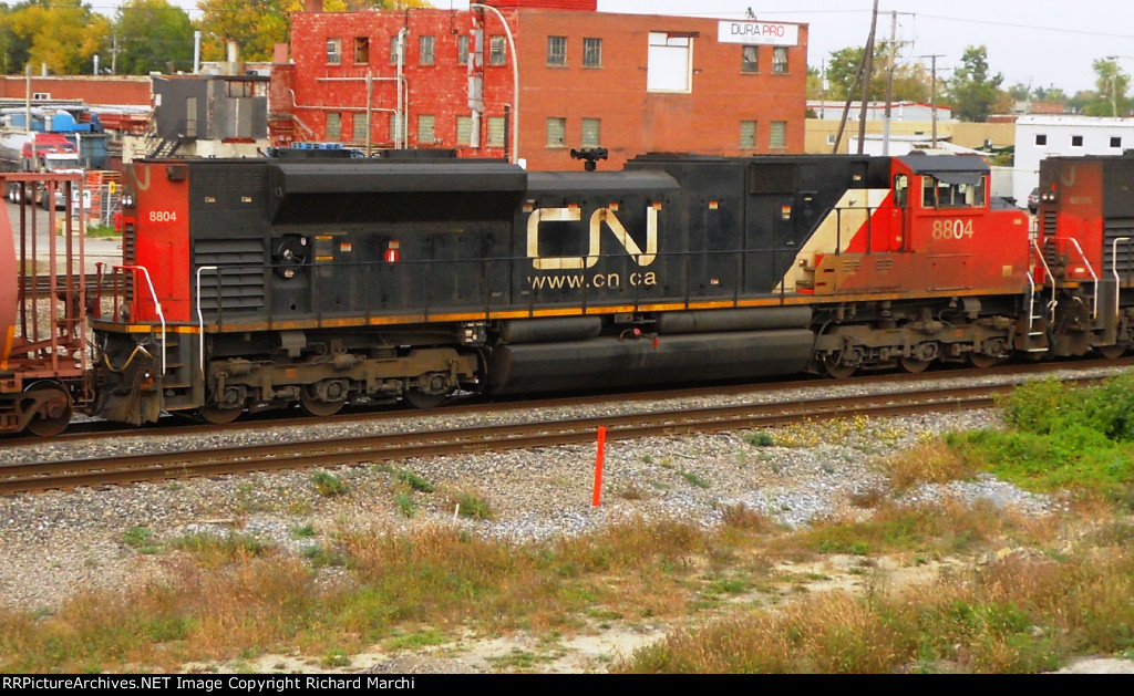 CN 8804